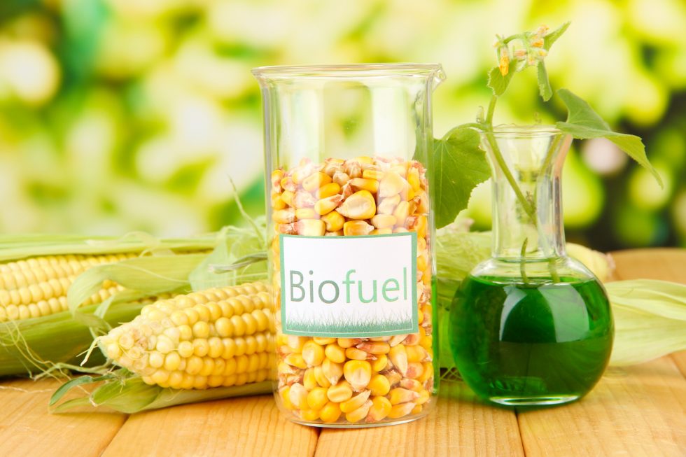 Renewable Fuels: What is Biodiesel? - Diesel Performance Specialist